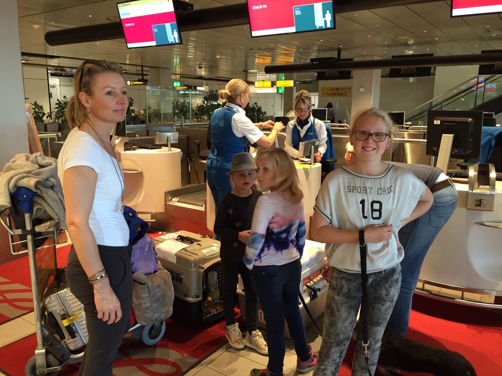 Expats in Shanghai - Aeffectivity